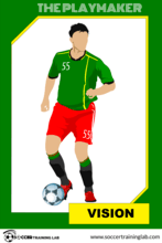 The Playmaker – Soccer Training Lab